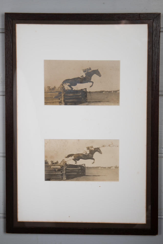 Photograph, Daryl Lindsay on his show jumper Dandy at Jerilderie, 1912 ...