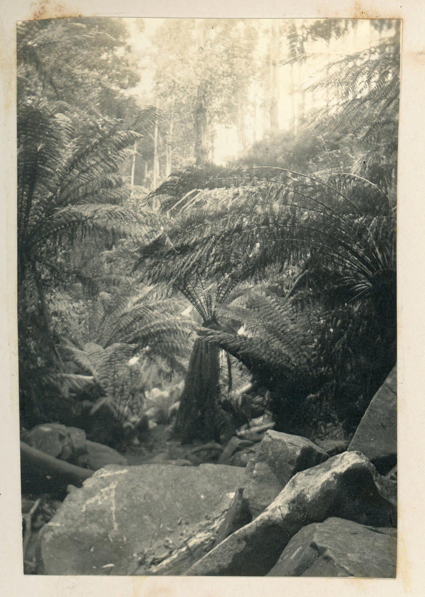 Object - National Trust